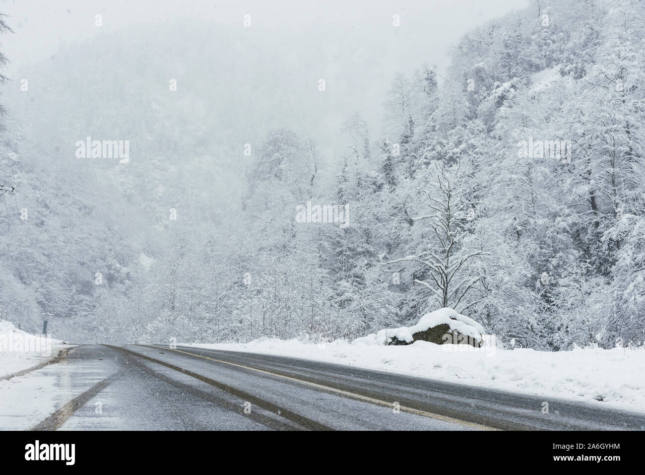 Snowy road scene in winter, with snowy trees, rocks and asphalt road ...