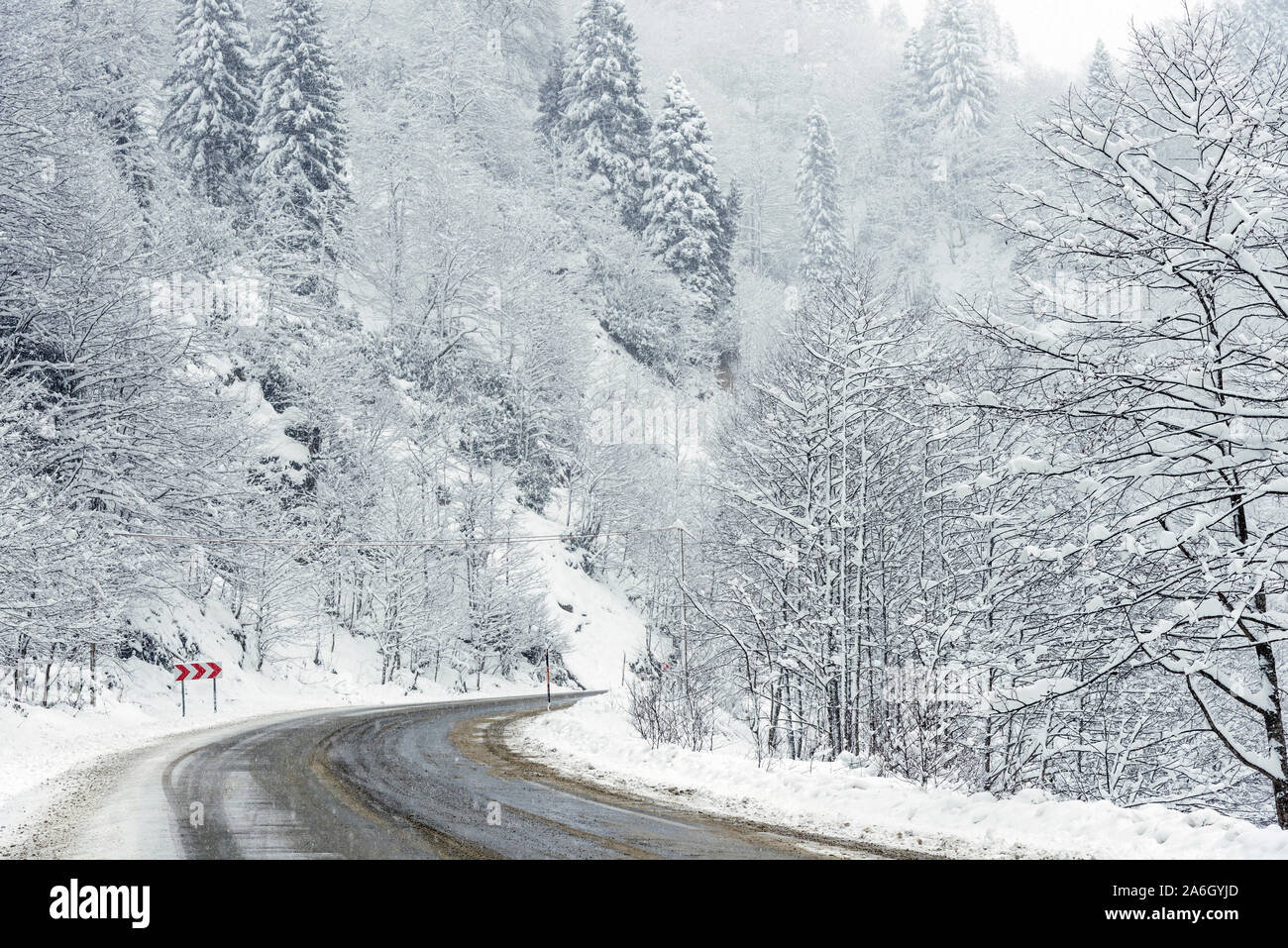 Snowy bending road scene in winter, with snowy trees, rocks and asphalt road Stock Photo - Alamy