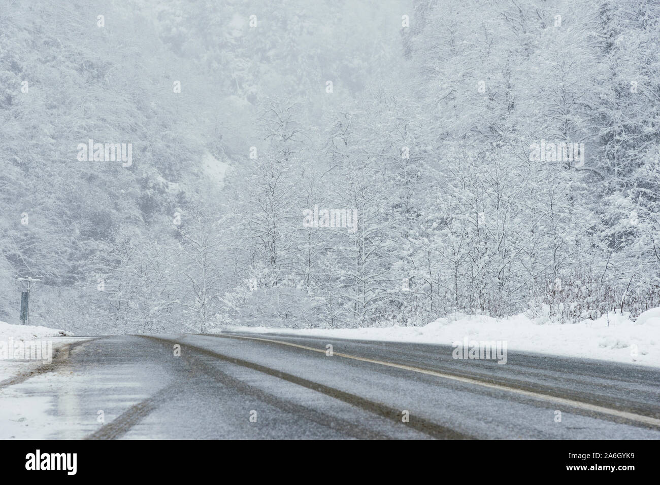 Snowy road scene in winter, with snowy trees, rocks and asphalt road ...
