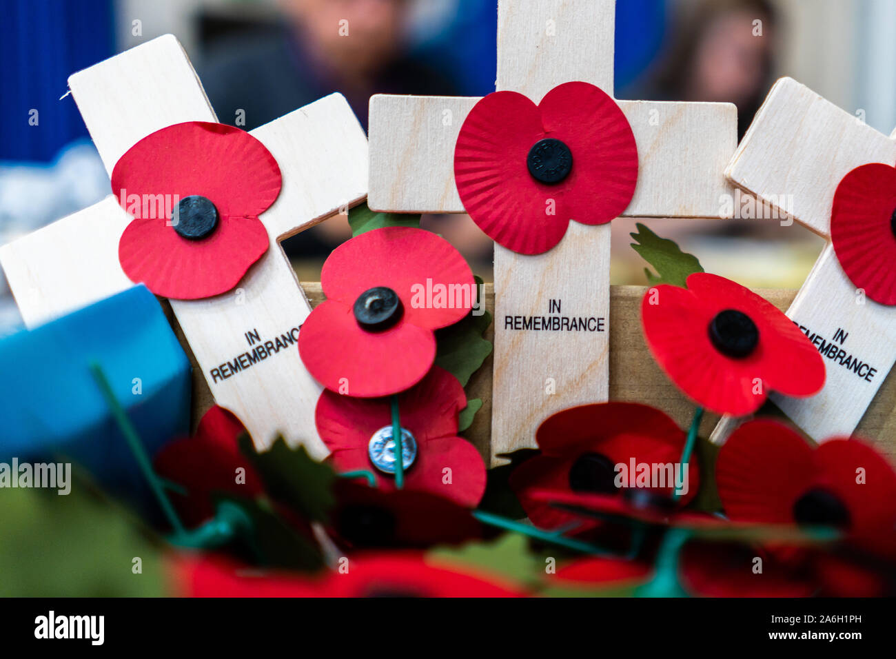 Poppies on Crosses for the Royal British Legion Poppy Appeal are ...