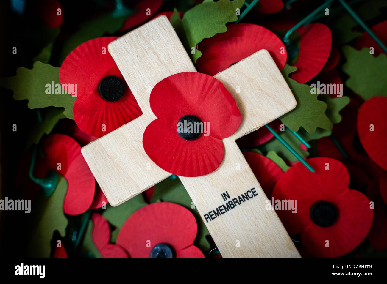 Poppies on Crosses for the Royal British Legion Poppy Appeal are ...