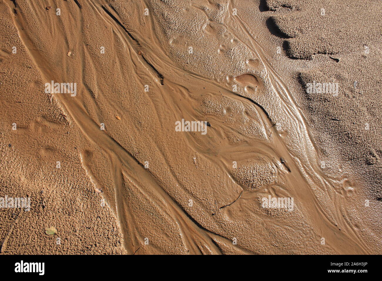 Sand shaped by rain Stock Photo - Alamy