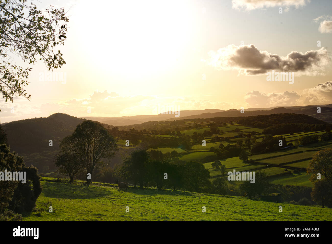 Wenlock edge farm hi-res stock photography and images - Alamy