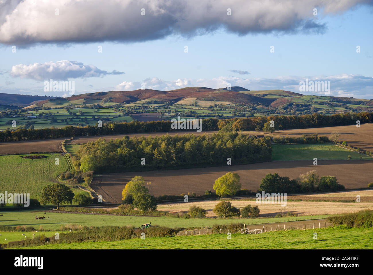 Wenlock edge shropshire hi-res stock photography and images - Alamy