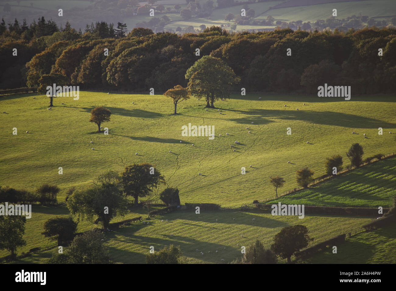 Wenlock edge farm hi-res stock photography and images - Alamy