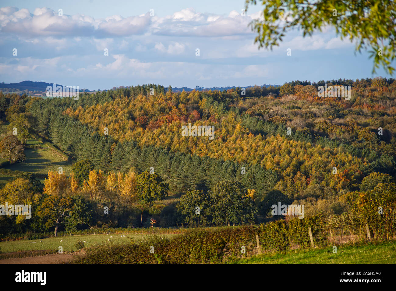 Wenlock edge farm hi-res stock photography and images - Alamy