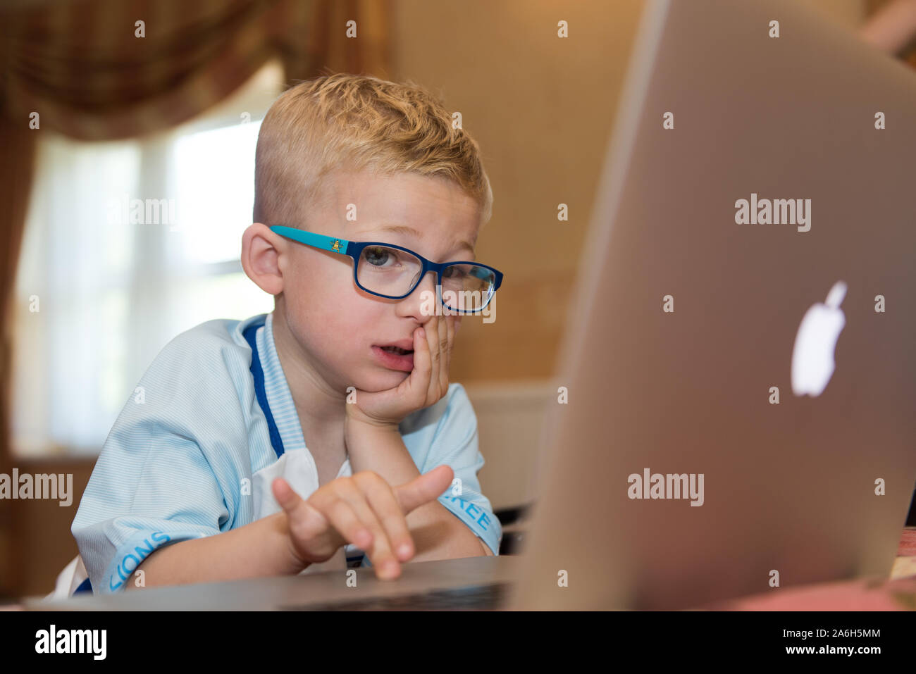 A young handsome little page boy wearing glasses, spectacles ...