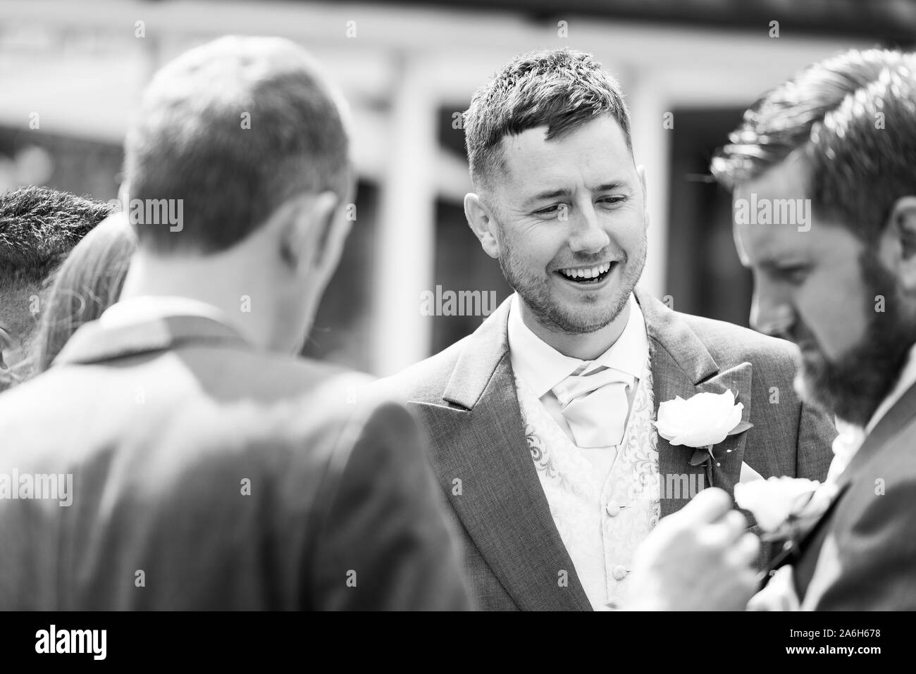 A handsome laughing smiling wedding guest looks on whilst talking to ...