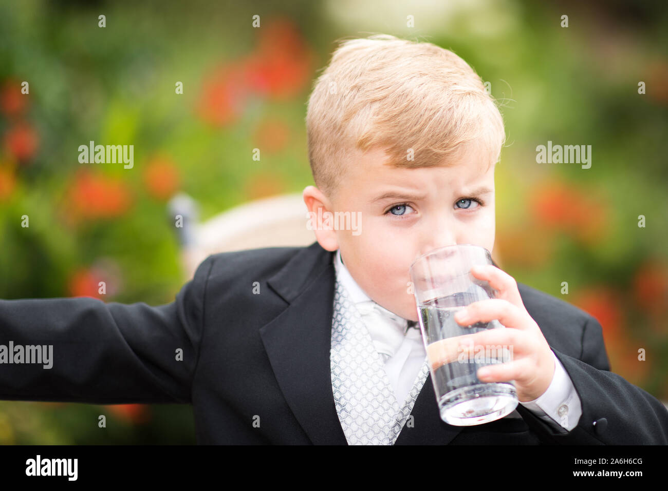 An adorable page boy posing for pictures on the big wedding day, family ...