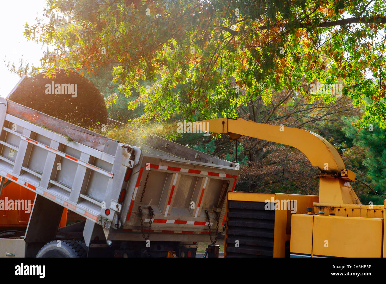 Wood chipper blowing tree branches cut a portable machine used for ...