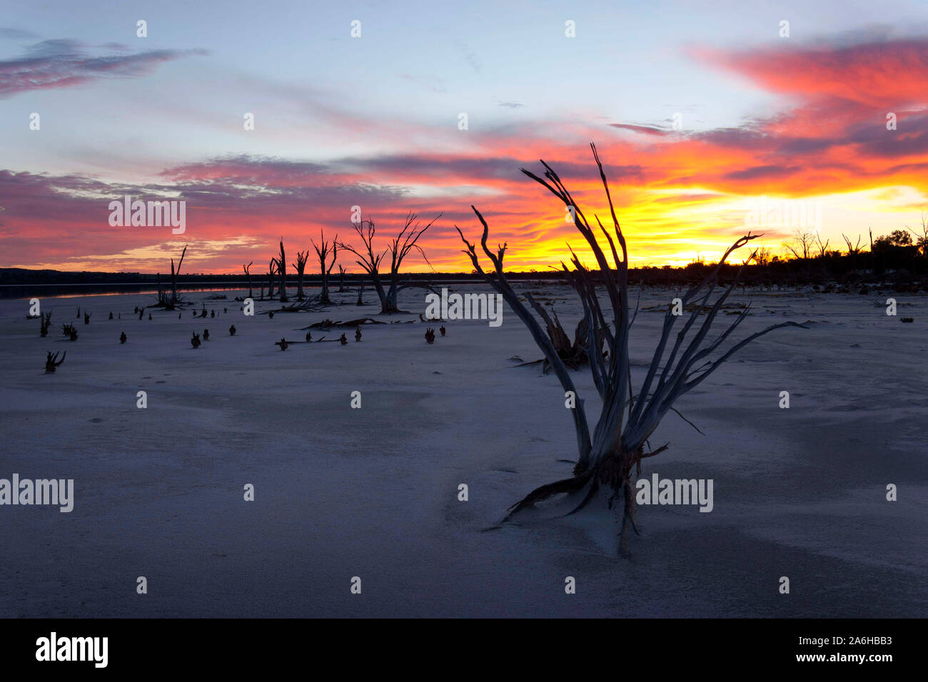 Lake Ninan Salt Lake, Victoria Plains Western Australia Stock Photo - Alamy