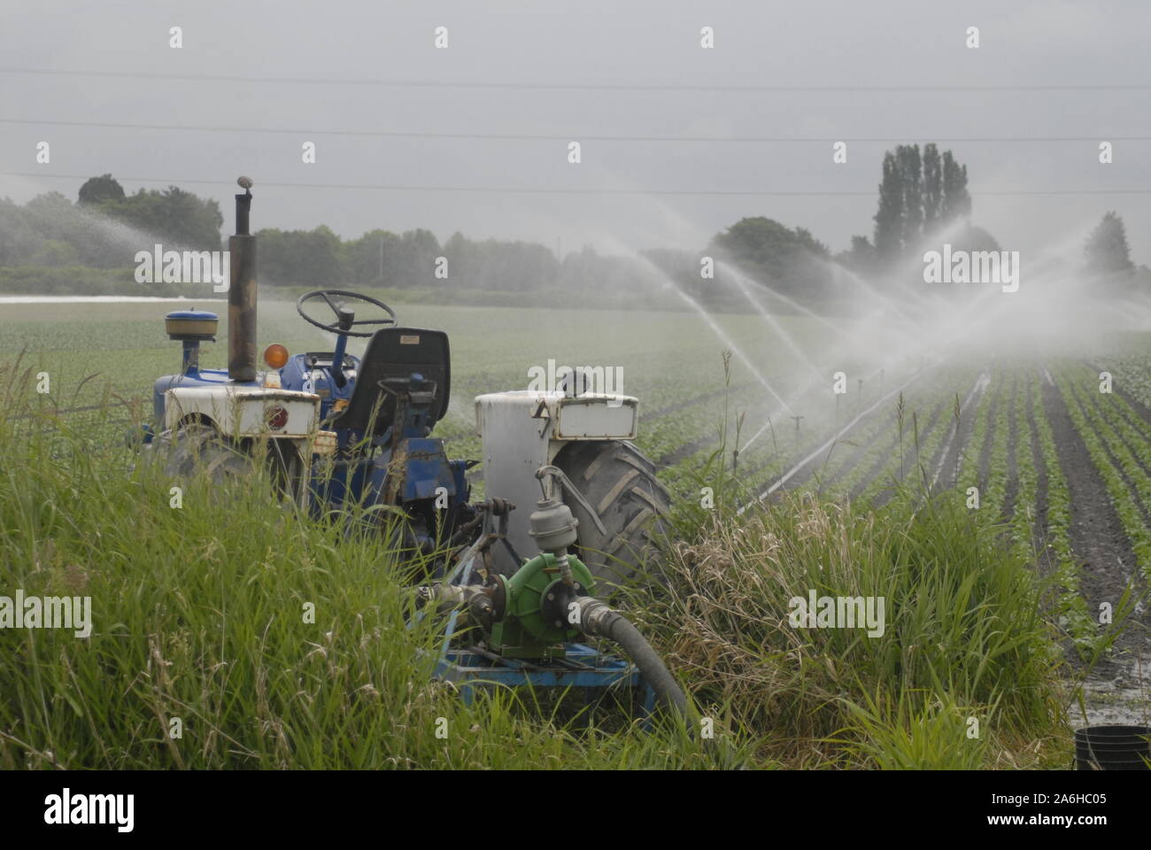 Agricultural field being irrigated Stock Photo - Alamy