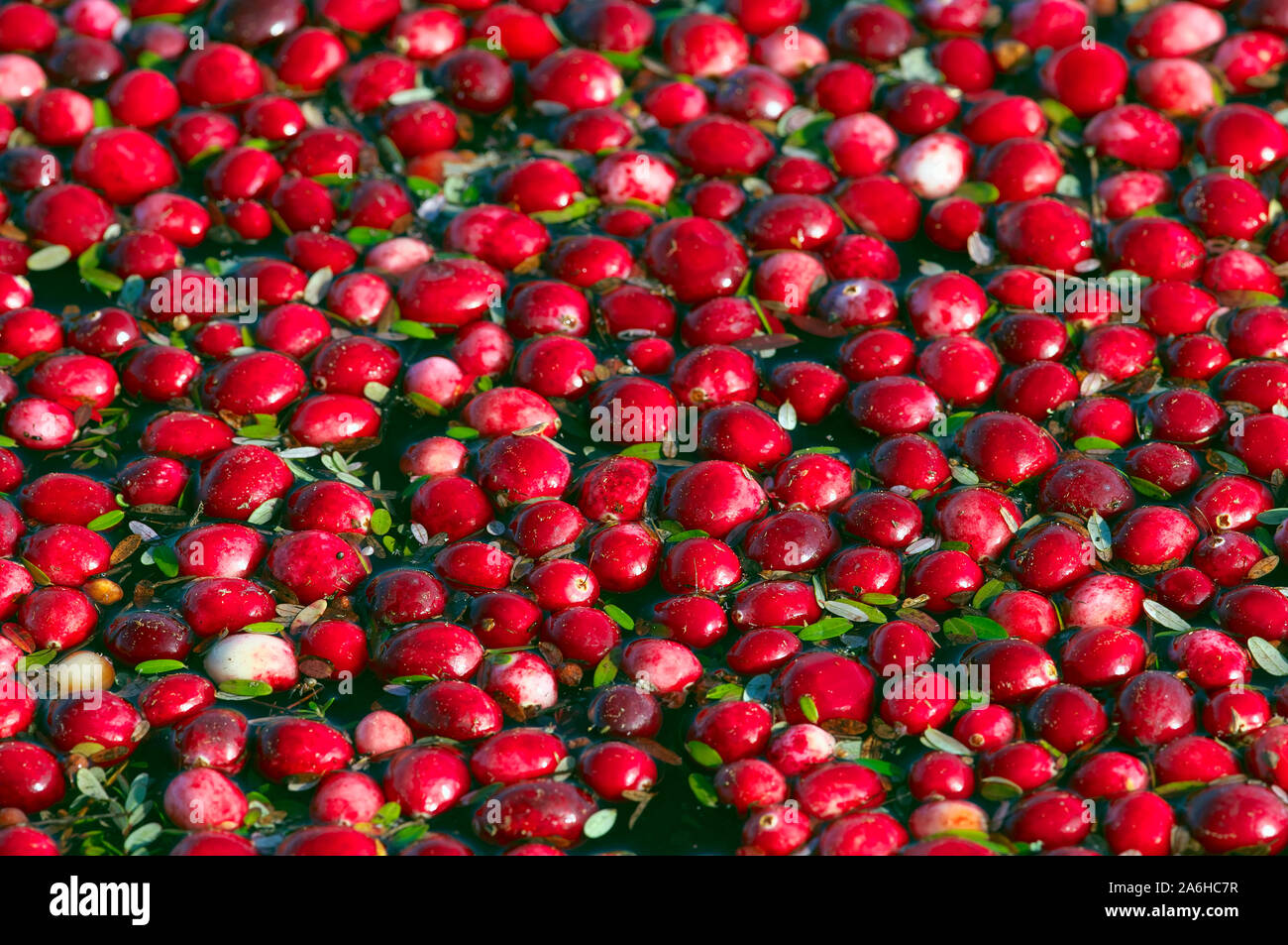 Floating fruit hi-res stock photography and images - Alamy