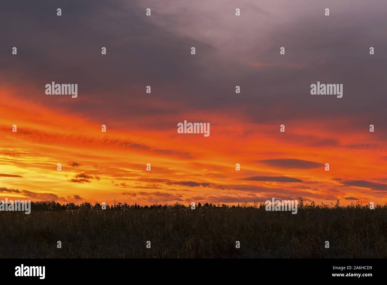Dramatic Red Orange Sunset Sky Colours Background above Autumn Prairie ...