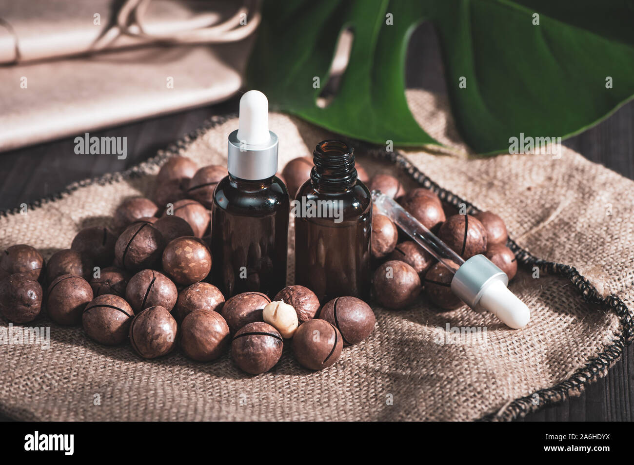 Macadamia oil in bottles and macadamia nuts , vintage rustic style ...
