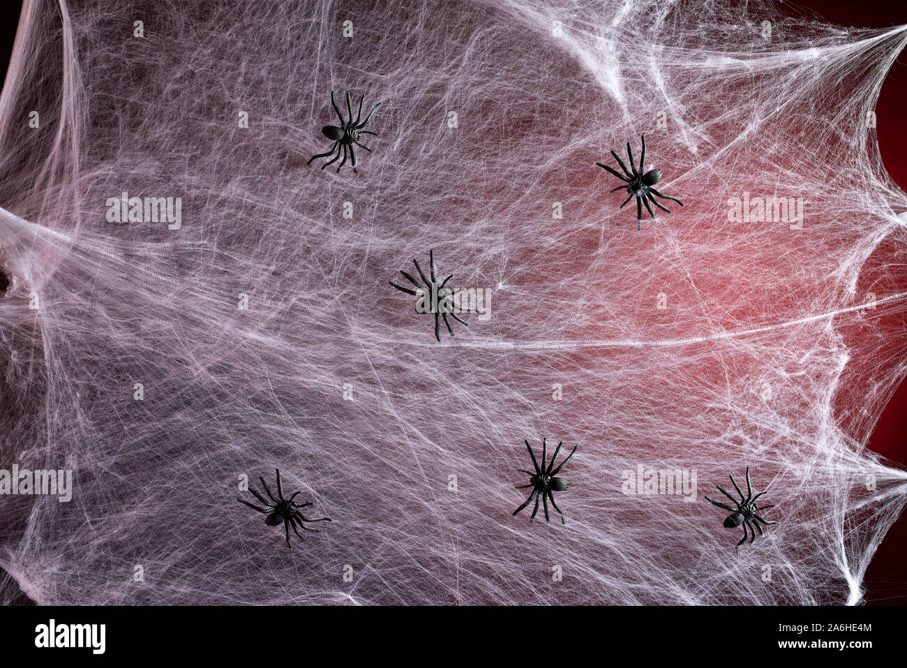 Black white and red spiders hi-res stock photography and images - Alamy