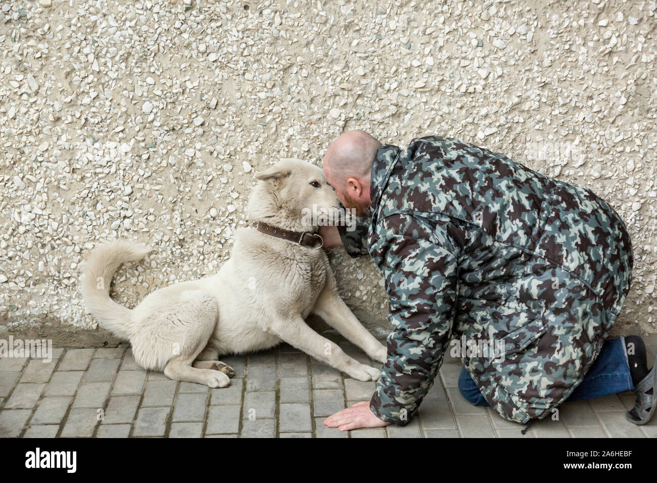 Man and husky dog hi-res stock photography and images - Alamy