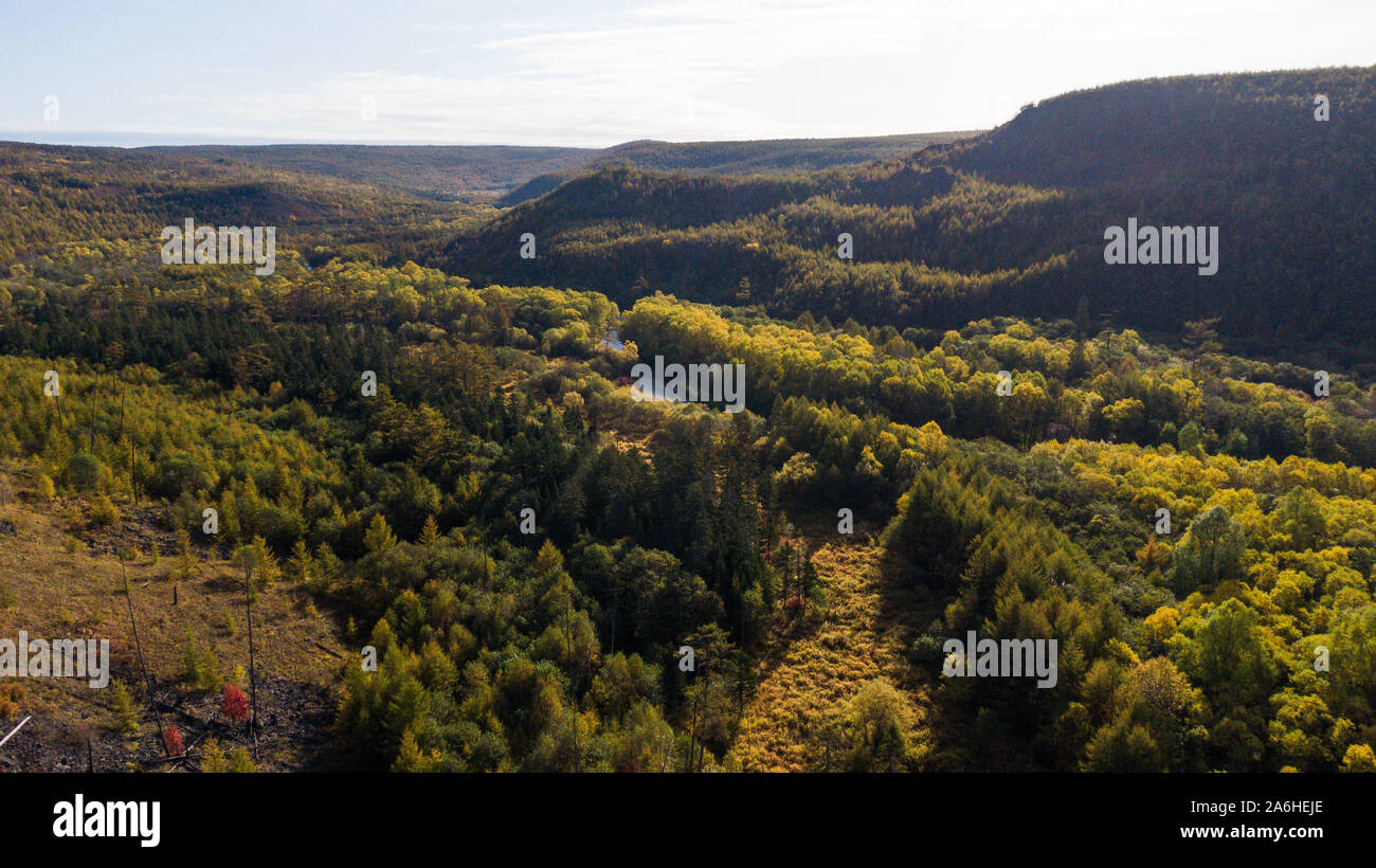 Top view of the taiga forest, river, road . The vast expanses of ...