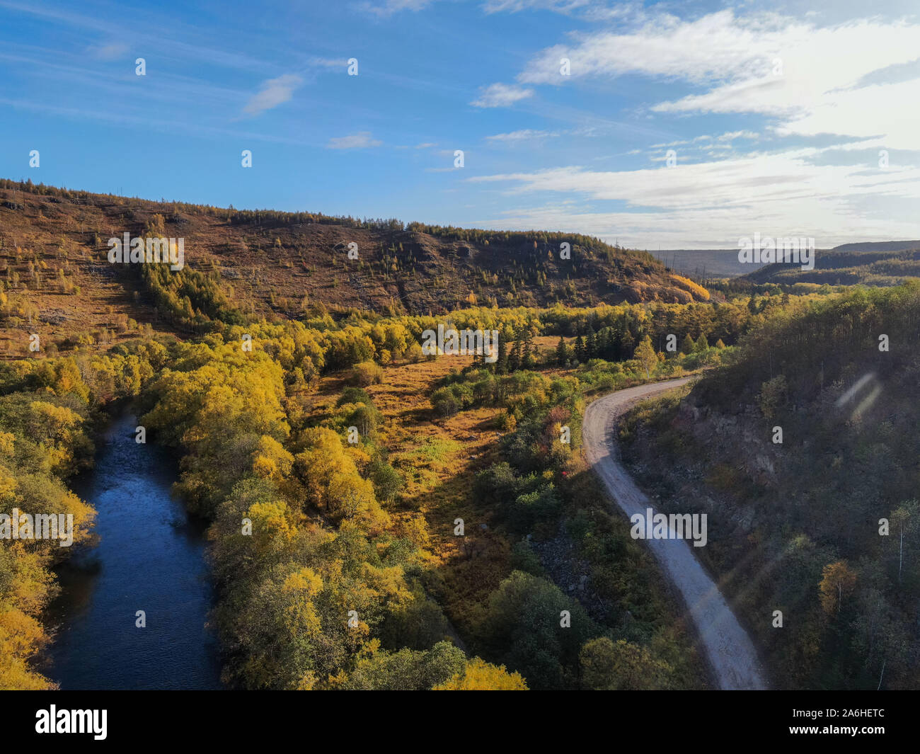 Eastern russia birch forest hi-res stock photography and images - Alamy