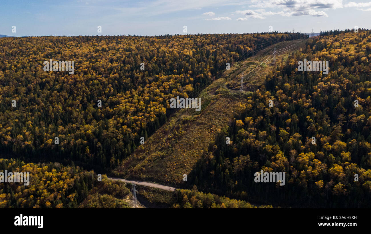 Top view of the taiga forest, river, road . The vast expanses of ...