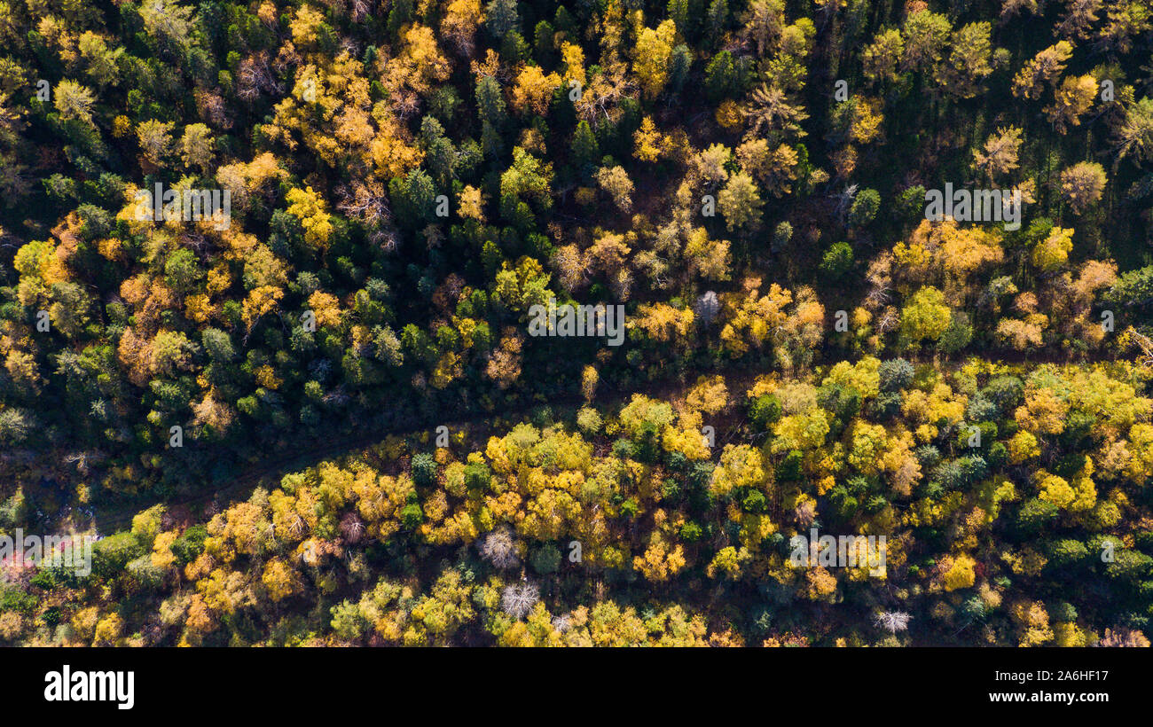 Top view of the taiga forest, river, road . The vast expanses of ...
