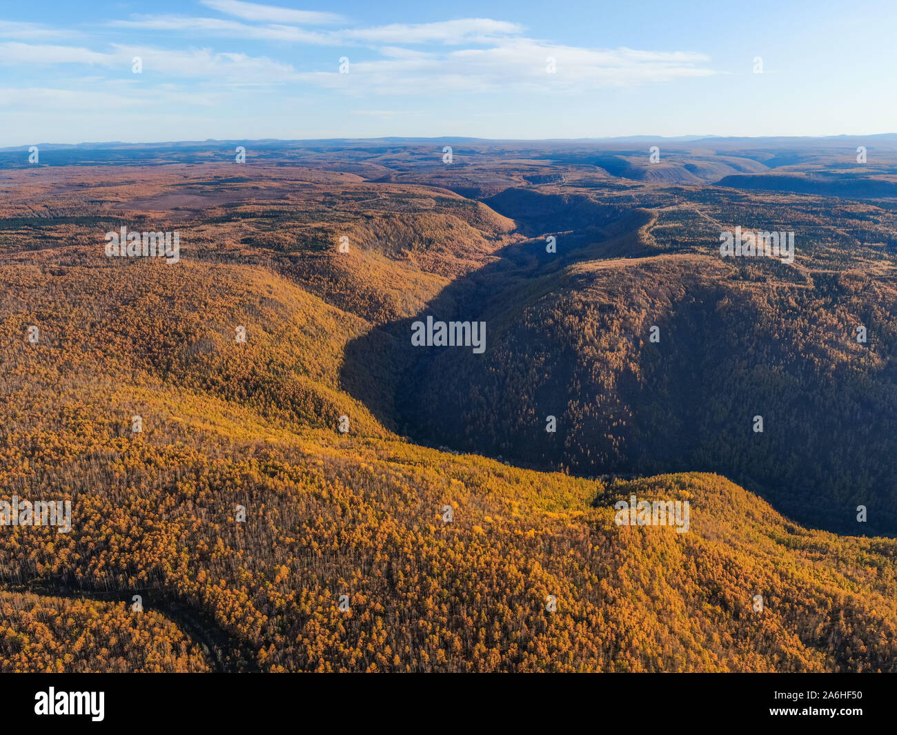 Top view of the taiga forest, river, road . The vast expanses of ...