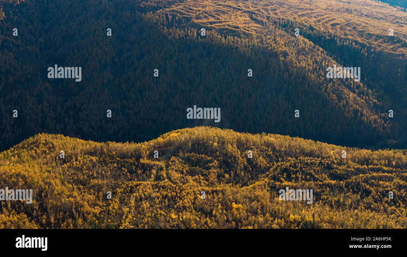 Top view of the taiga forest, river, road . The vast expanses of ...