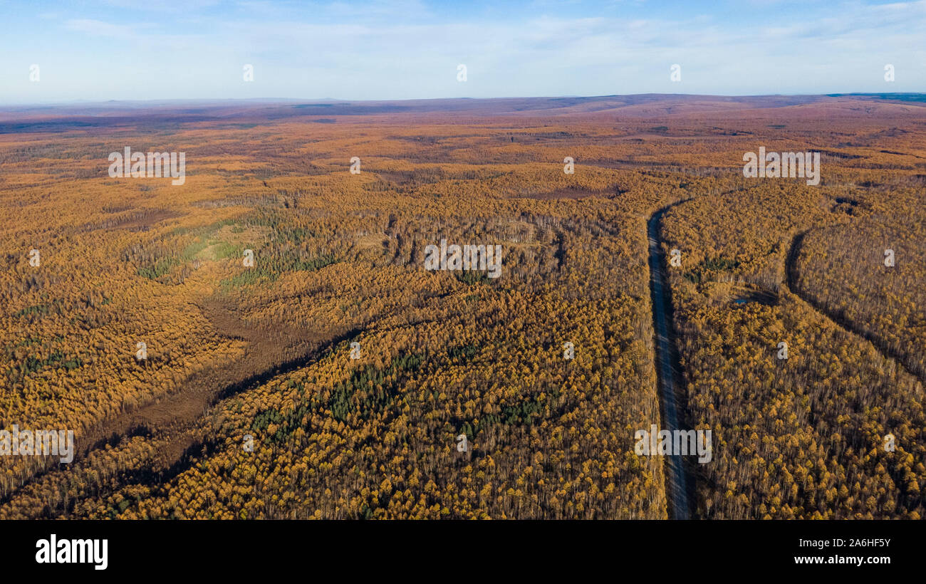 Top view of the taiga forest, river, road . The vast expanses of ...
