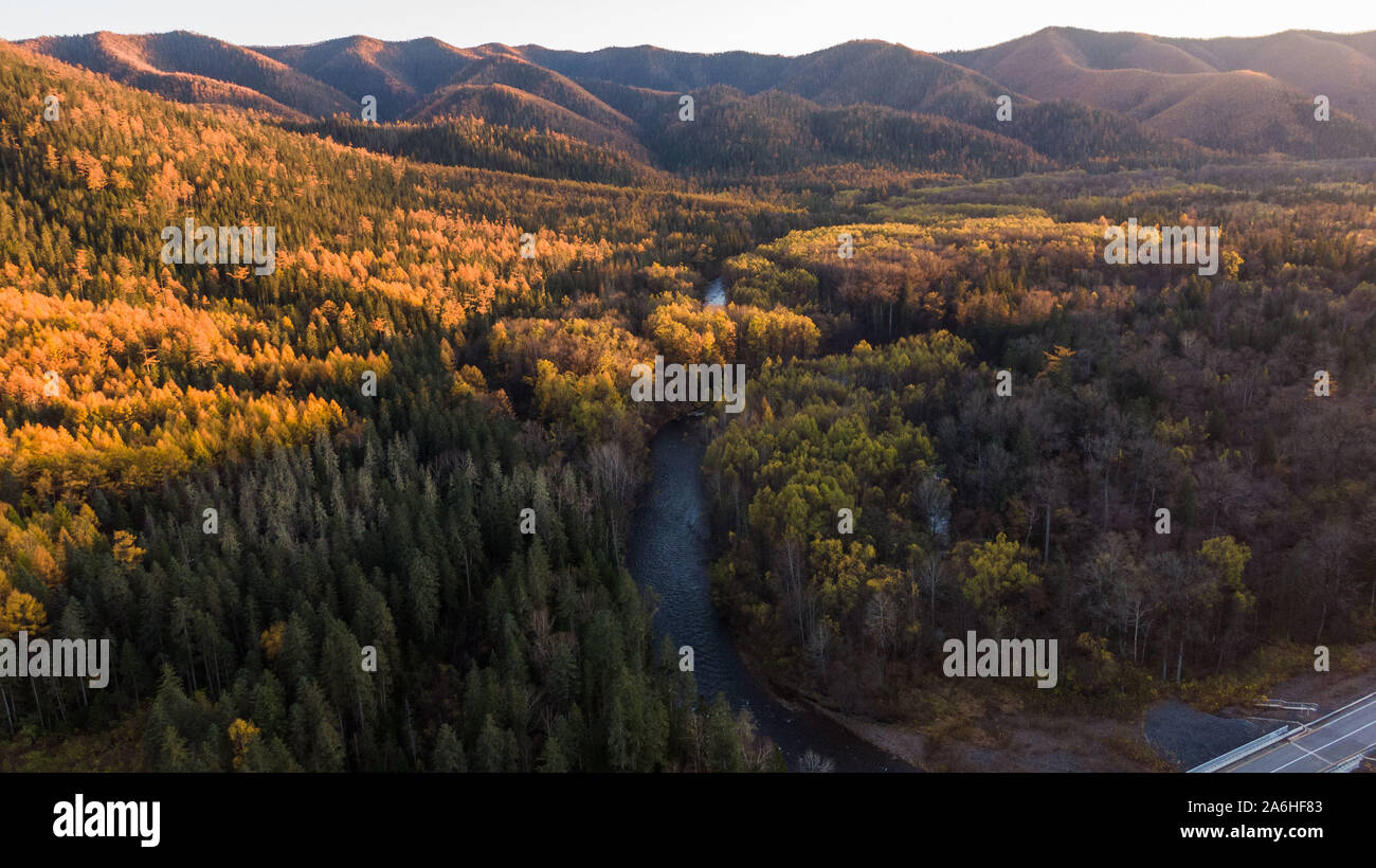 Top view of the taiga forest, river, road . The vast expanses of ...