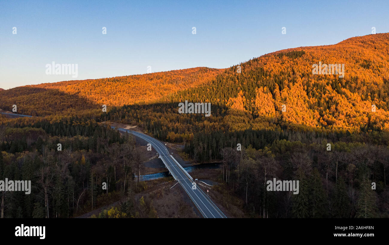Top view of the taiga forest, river, road . The vast expanses of ...