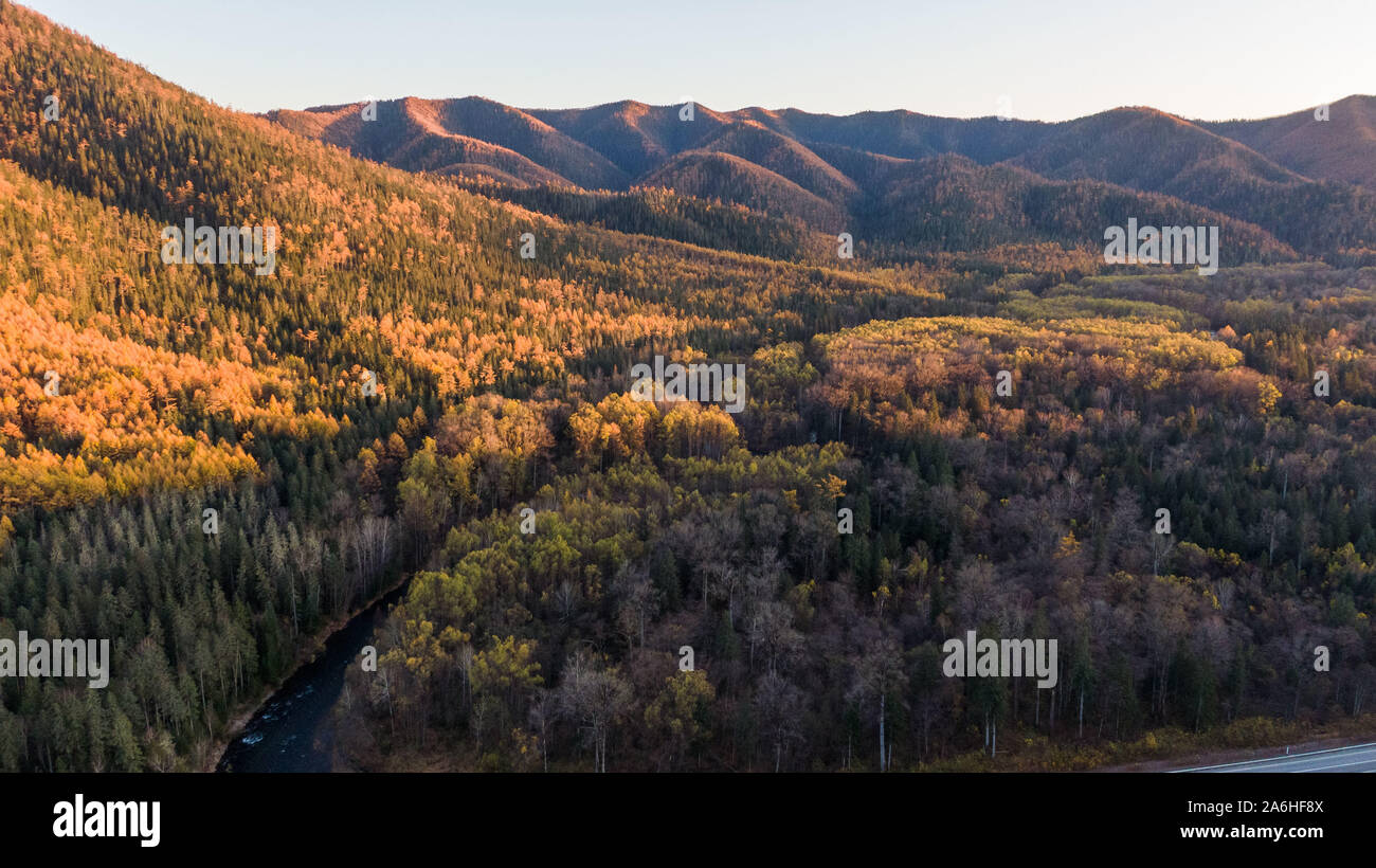 Top view of the taiga forest, river, road . The vast expanses of ...