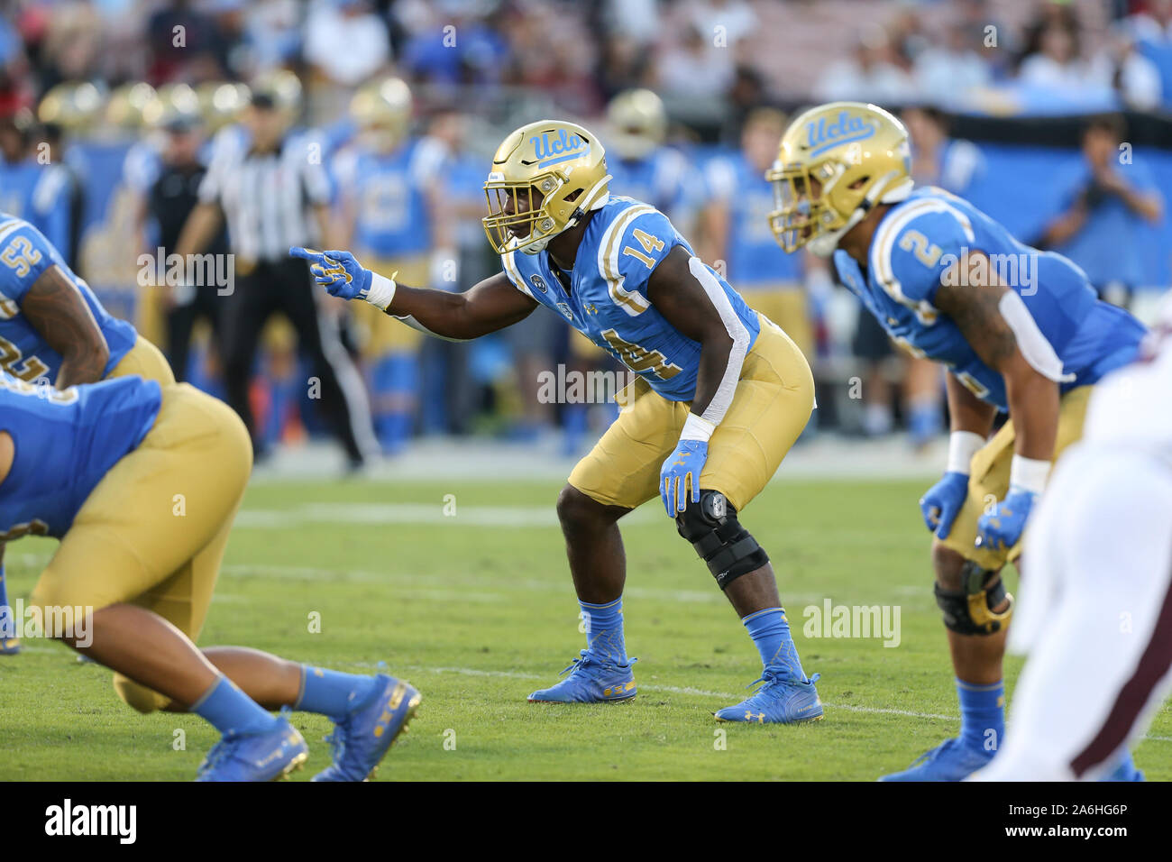 Krys barnes hi-res stock photography and images - Alamy