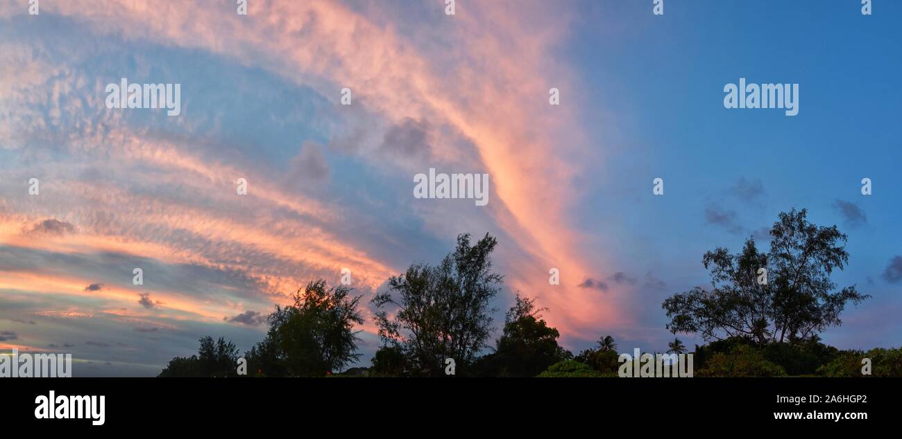 Vivid blue sky gazing hi-res stock photography and images - Alamy