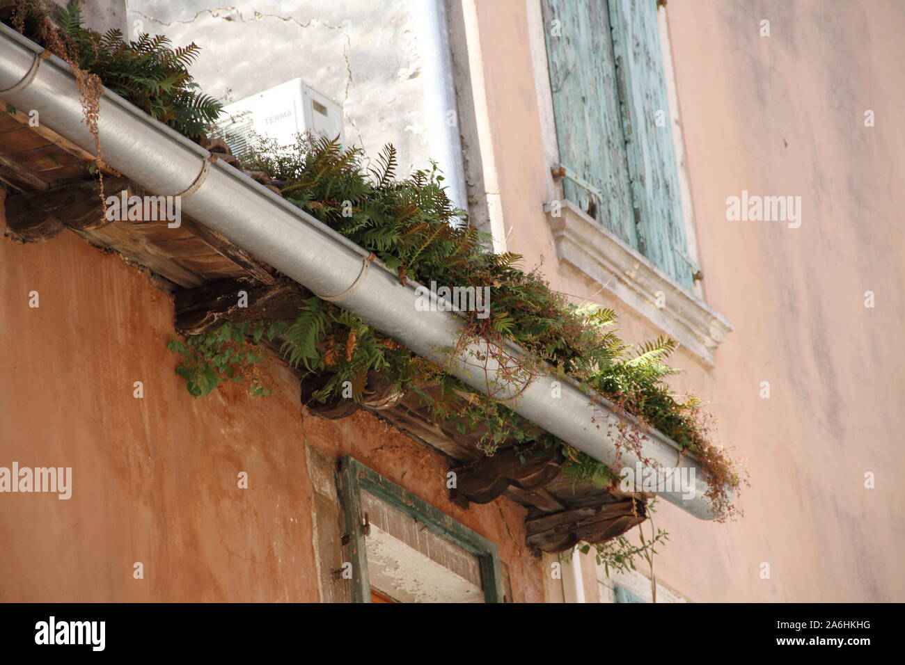 a clogged gutter Stock Photo - Alamy