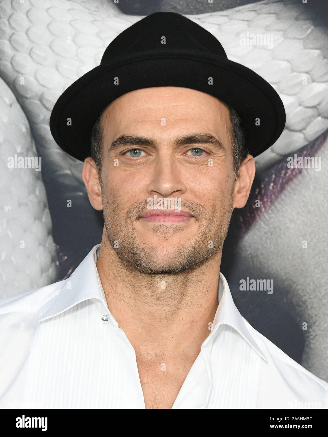 Cheyenne Jackson American Horror Story High Resolution Stock ...