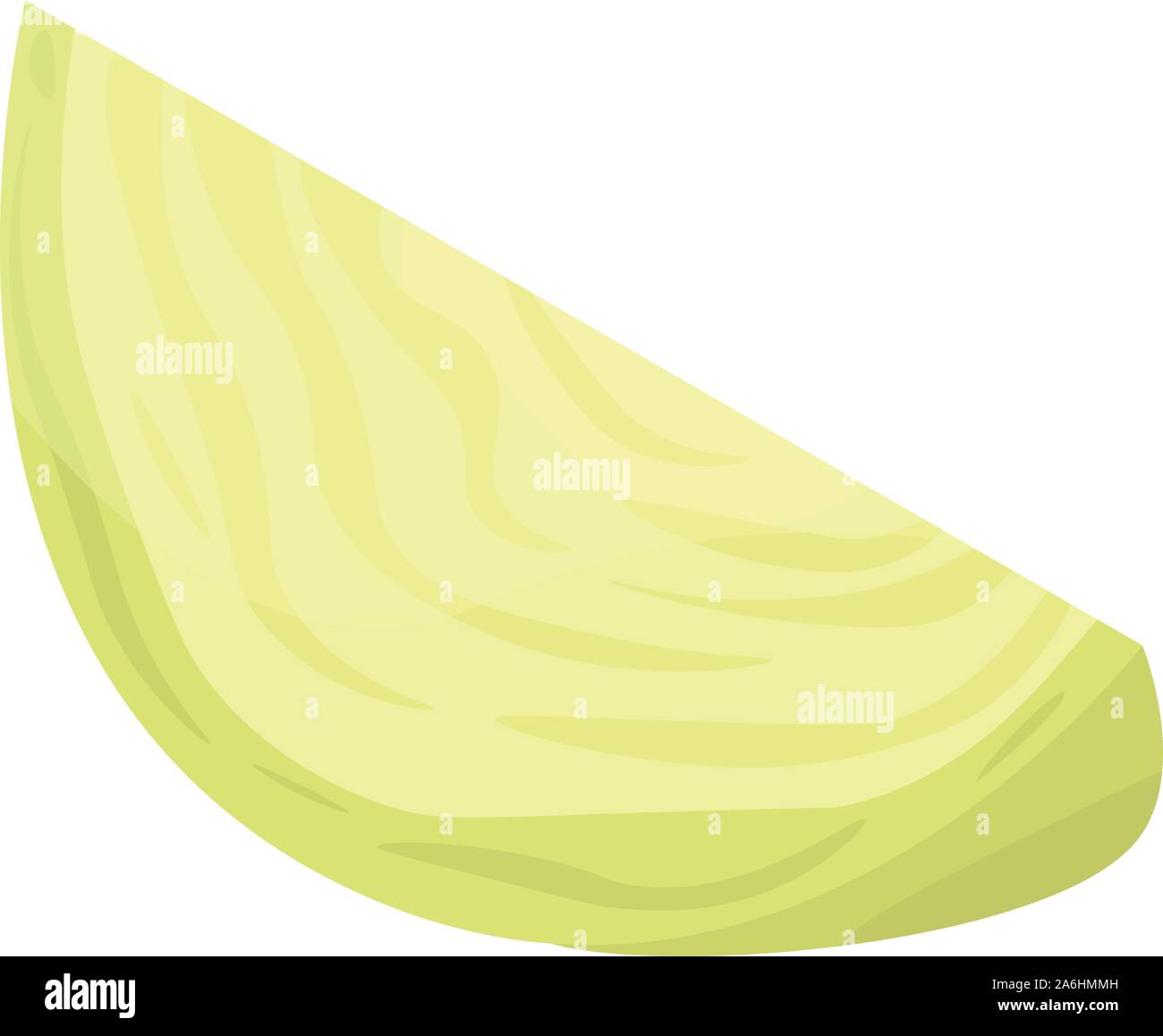 White cabbage rose Stock Vector Images - Alamy