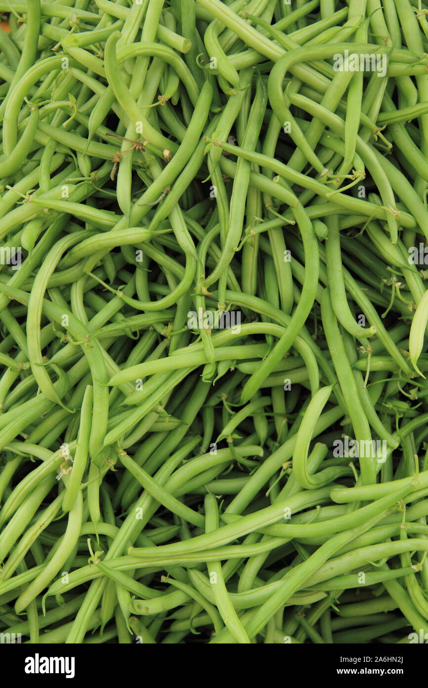 Garden fresh green beans sale hi-res stock photography and images - Alamy