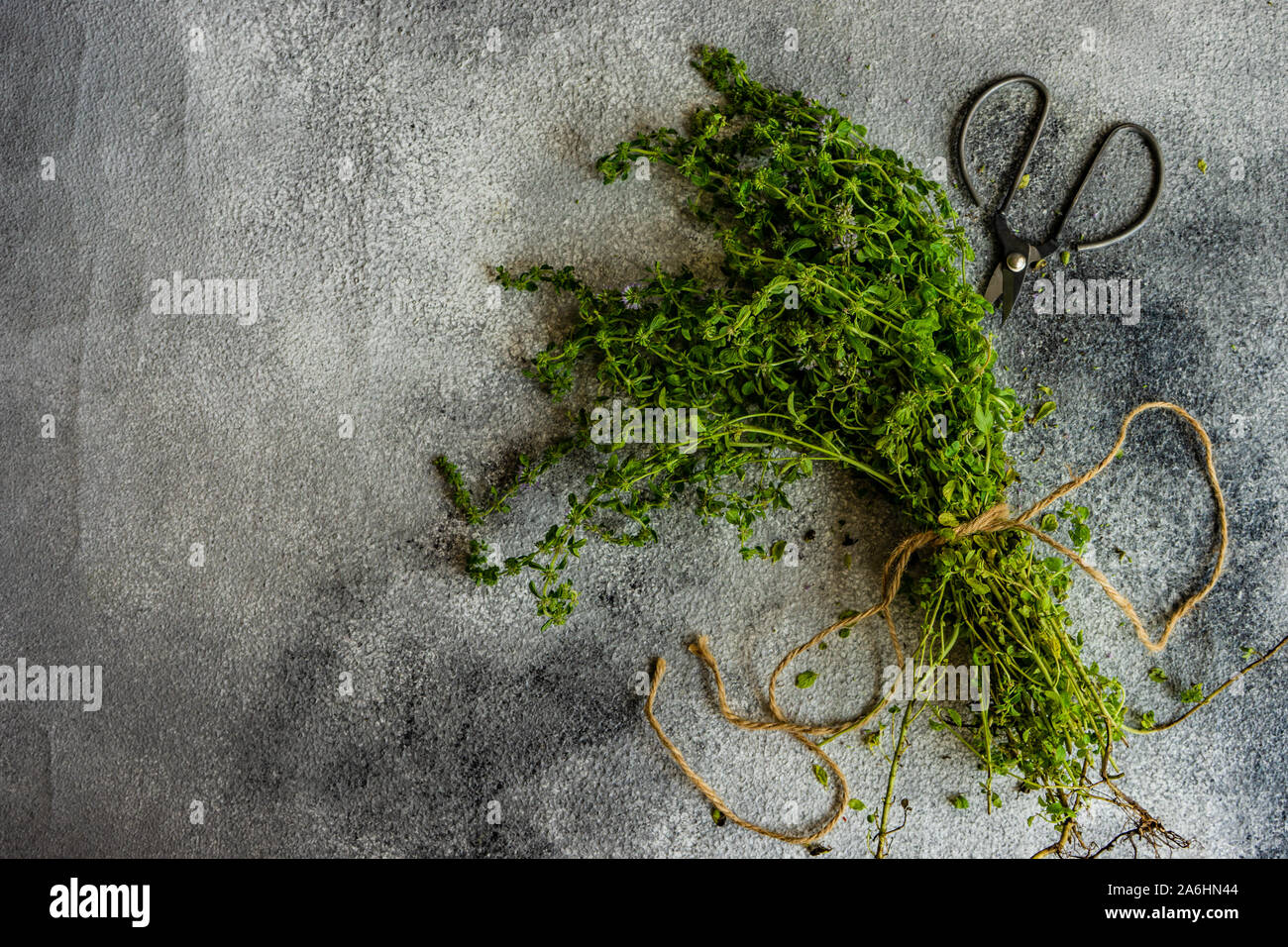 Cooking concept with traditional georgian herb local oregano - ombalo ...