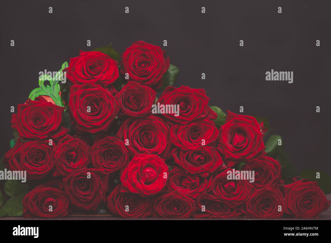 Two toned rose hi-res stock photography and images - Alamy