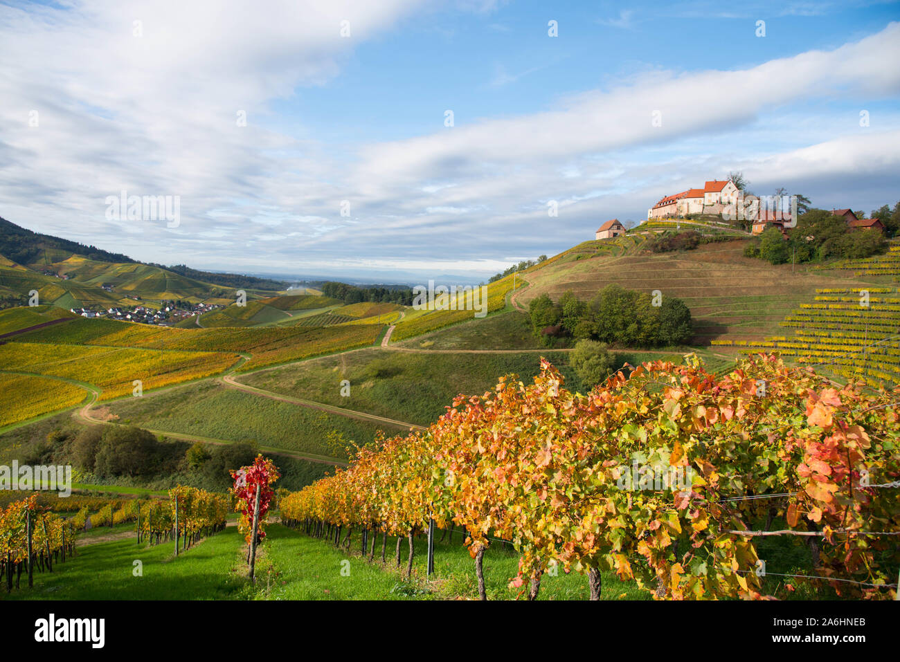 The Stauffenberg castle in Durbach in the black forest area in germany ...
