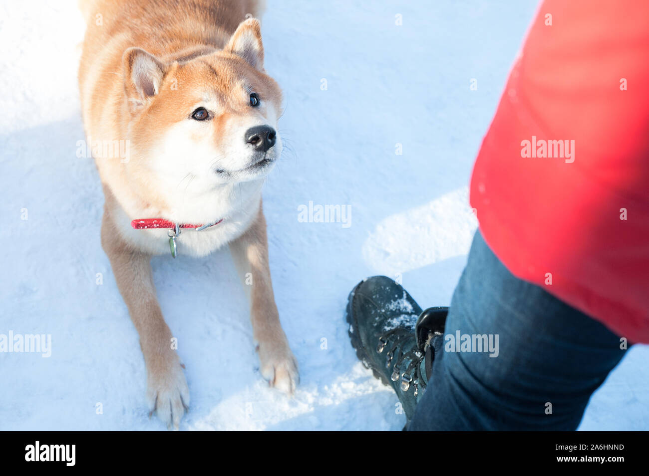Person sat down hi-res stock photography and images - Alamy