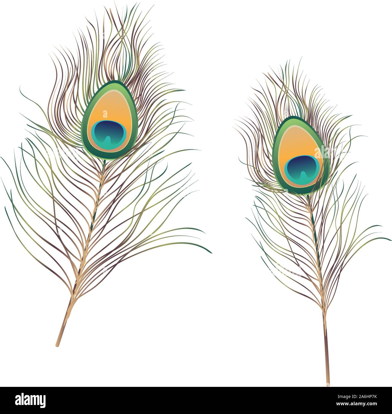 Decorative colorful peacock feathers illustration, peacock plumage ...