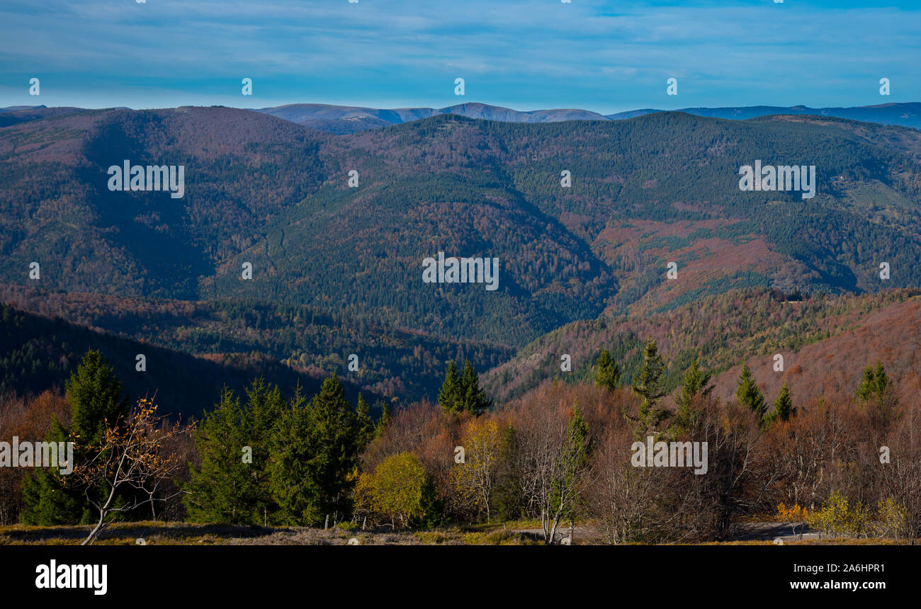 The Vosges mountains in France in late autumn Stock Photo - Alamy