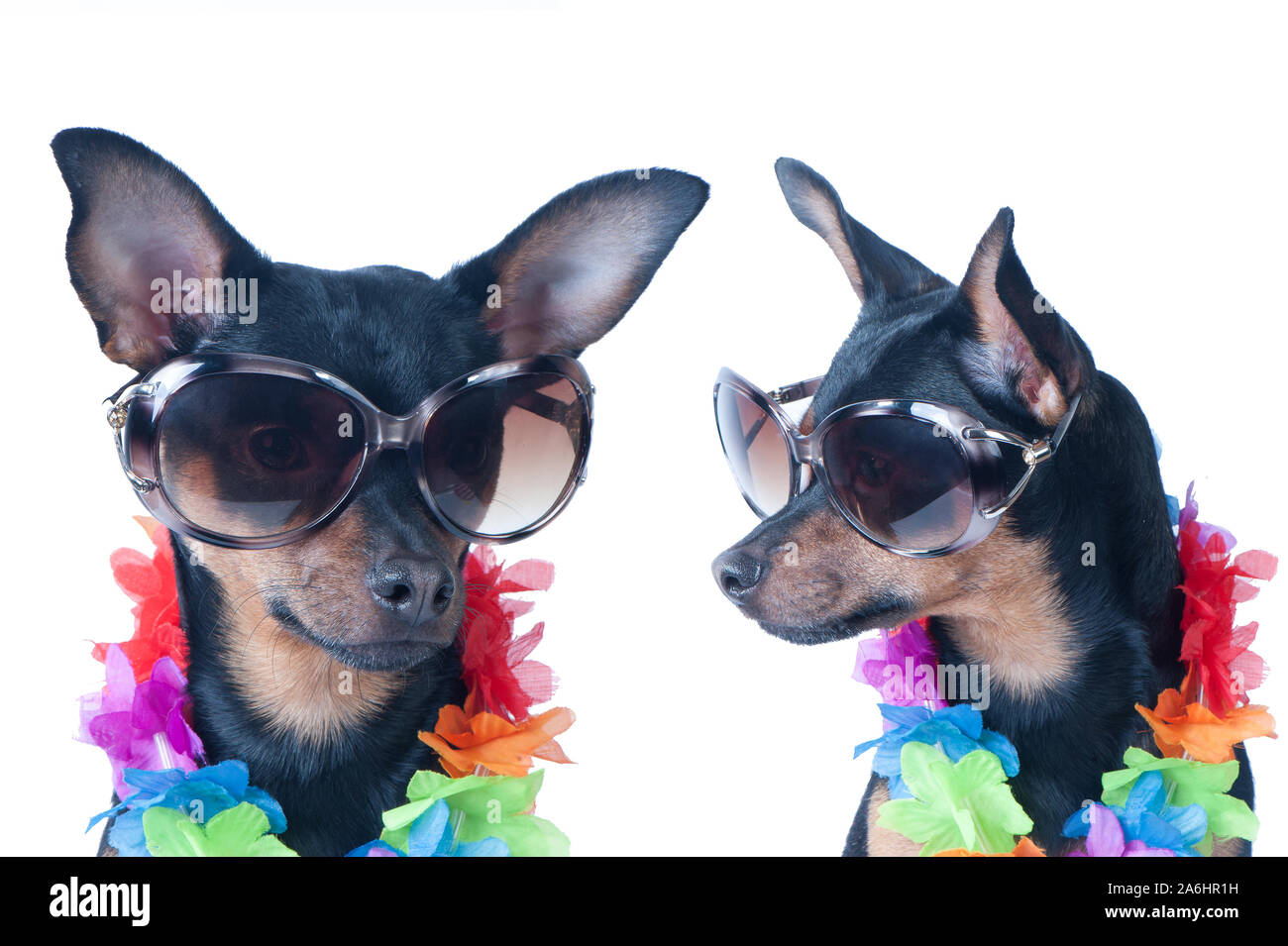 Maldives and mauritius Cut Out Stock Images & Pictures - Alamy