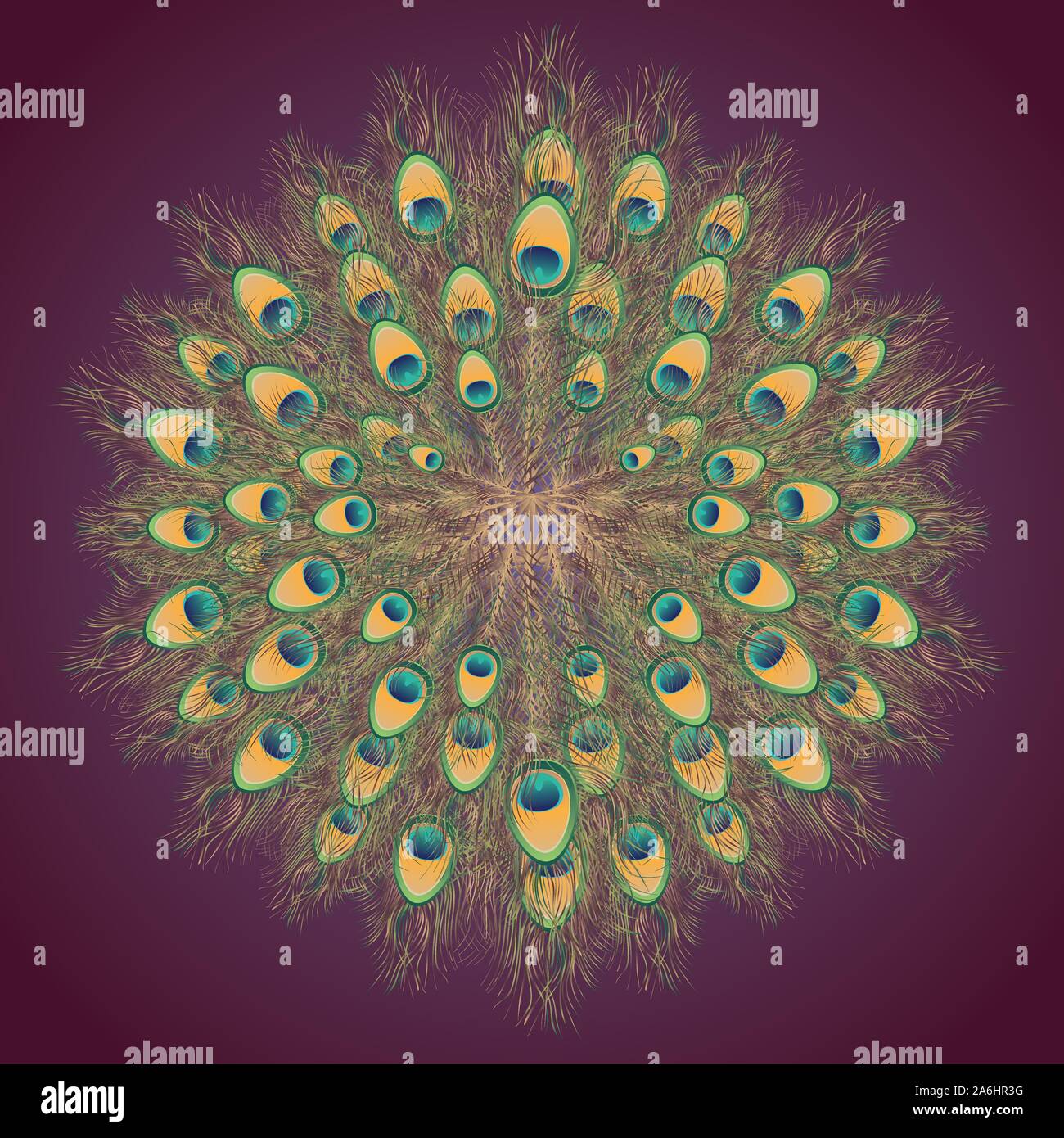 Full opened peacock tail illustration, detailed feathers Stock Vector ...