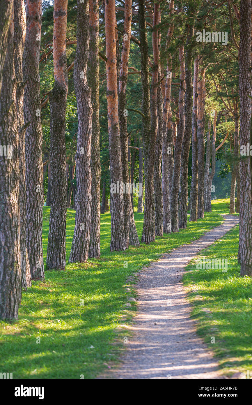 Walk in silence hi-res stock photography and images - Alamy