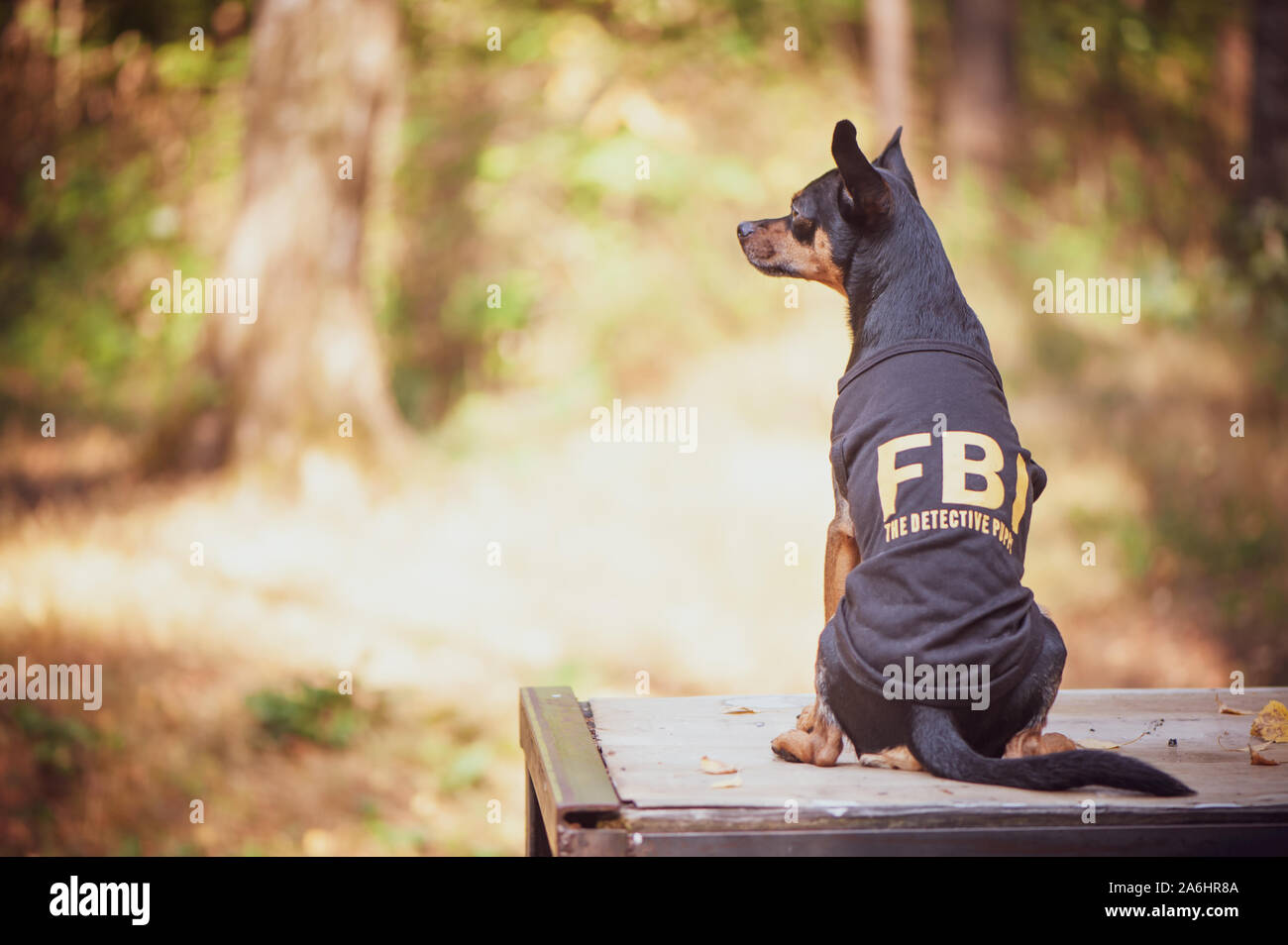 Fbi agent hi-res stock photography and images - Alamy