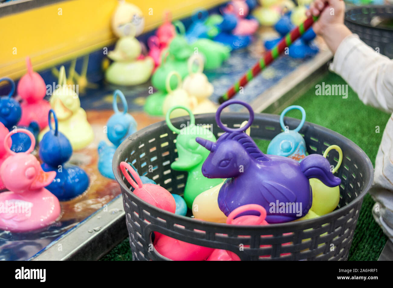 Plastic ducks in swimming pool hi-res stock photography and images - Alamy