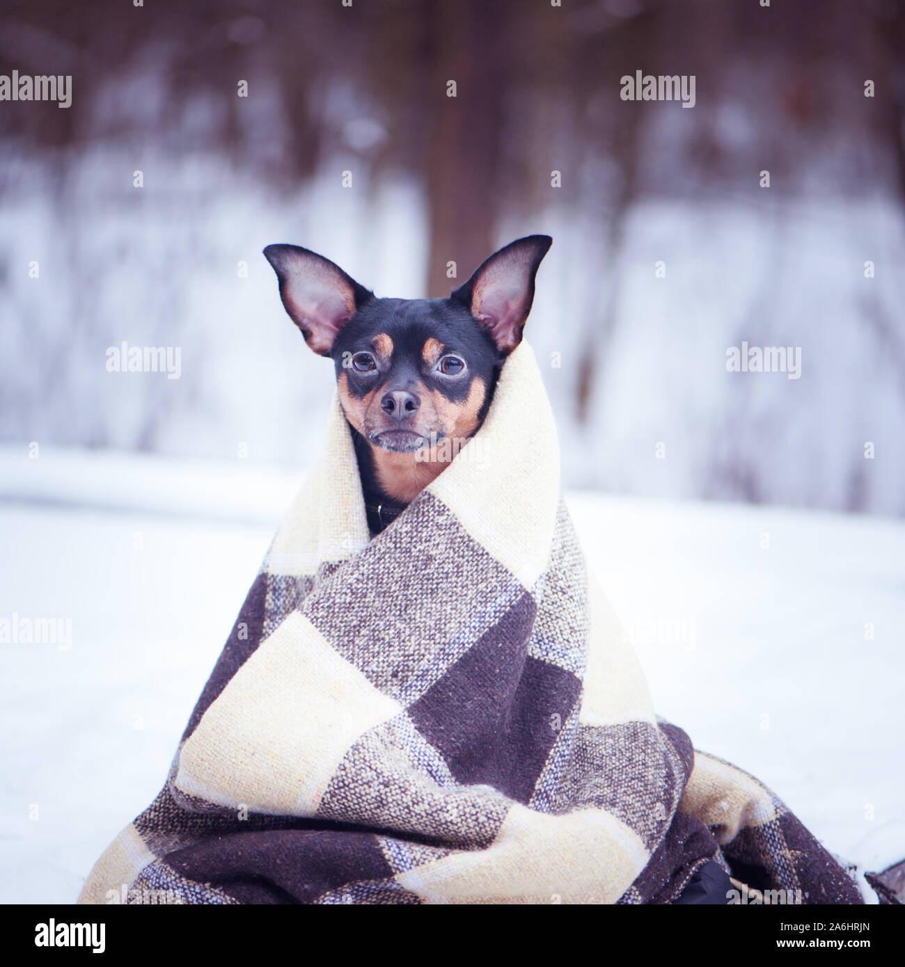 Wrapped up warm funny hi-res stock photography and images - Alamy