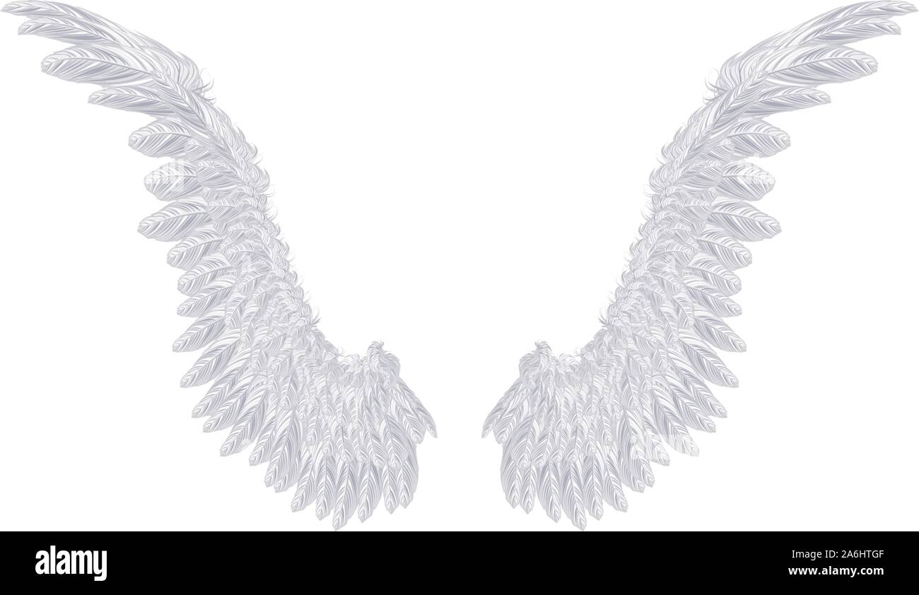 Pair of detailed light gray angel wings on white background Stock ...
